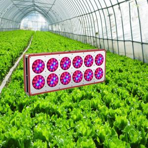China Factory supply 2018 wholesale grow equipment 2ft 4ft 5ft t8 g13 full spectrum led grow lig for sale