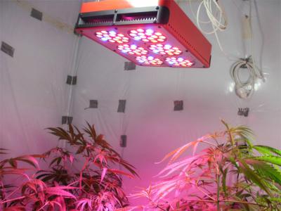 China 2018 fashion Newest style 3 watt 40x3W LED Grow Light for plants for sale