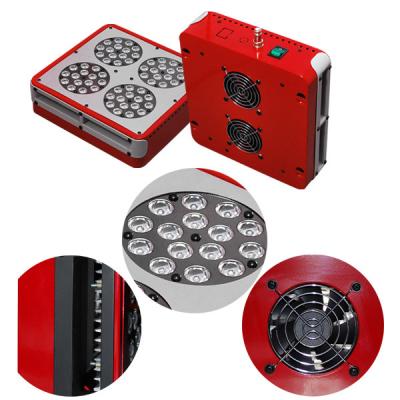 China Cidly APL4 Led Grow Light indoor hydroponics Grow Lamp grow lighing for sale