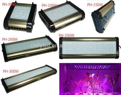 China Cidly 200w led grow panel lighting,Greenhouse Grow for sale