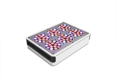 China greenhouse application hydroponic grow systems led lights cidly full spectrum apollo 6 led grow light 200w for sale