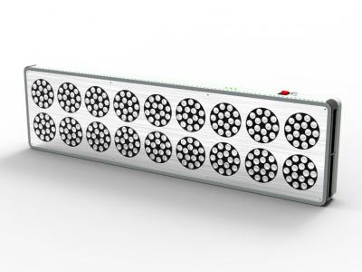 China Apollo 800w High Power Hydroponics Full Spectrum Cree LED Grow Light Panel For hydroponics for sale