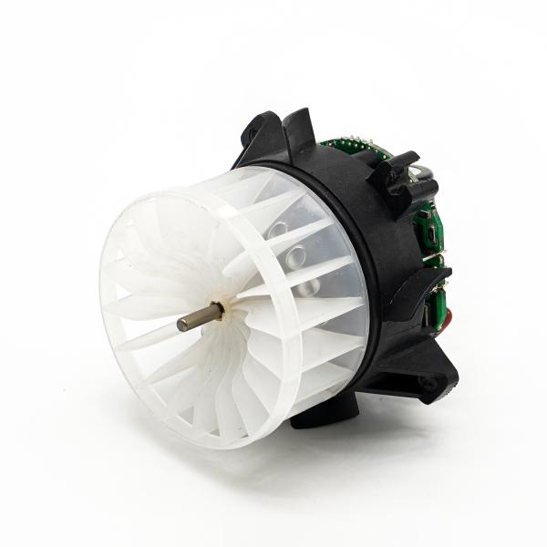 Quality 127V 230VAC Hair Dryer DC brushless motor with driver for sale