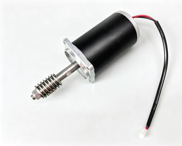 Quality 76mm 24V Low Noise permanent magnet brushed dc motor for Automatic door for sale