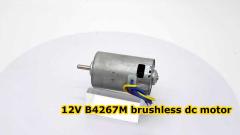 12V B4267M brushless dc motor Used in olive harvesters