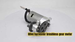 Olive harvester brushless gear motor