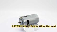 RS785H Olive Harvester Motor High Efficiency Replacement 1070311