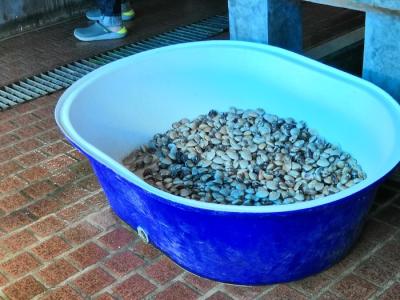 Cina Muffa dell'HDPE LLDPE Rota per l'aeratore dello stagno di pesce in vendita
