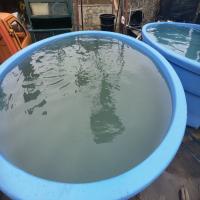 China High Performance Water Tank Mould for 50℃ Temperature Application for sale