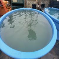 China Customized 2mm Septic Tank Forming Mould for Application for sale