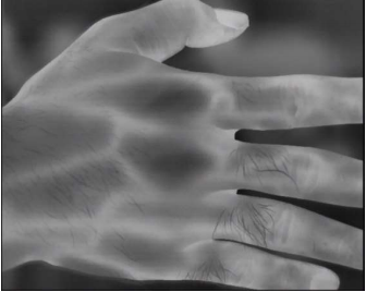 FW-A4 Refrigeration Infrared Movement Components technical diagram