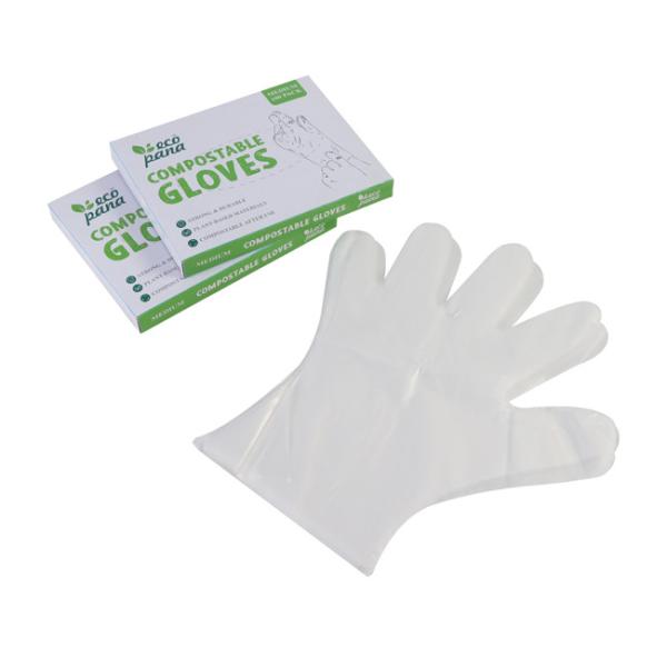 Quality Disposable Compostable Gloves Leak Resistant For Food Prep Home Duties Personal Care for sale