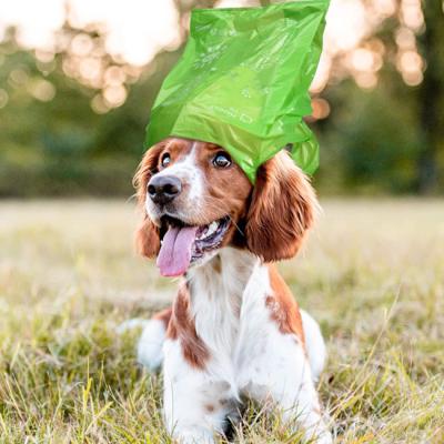Cina sacchetti di rifiuti per cani certificati compostabili con maniglie facili da legare in vendita