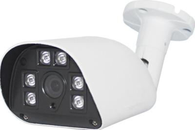 China AHD CCTV Camera IP66 With 3.6mm Board Lens 1080P Analog HD Camera for sale