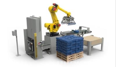 Cina Sacchetto che impila sollevamento inferiore della piattaforma della macchina imballatrice della bolla in vendita