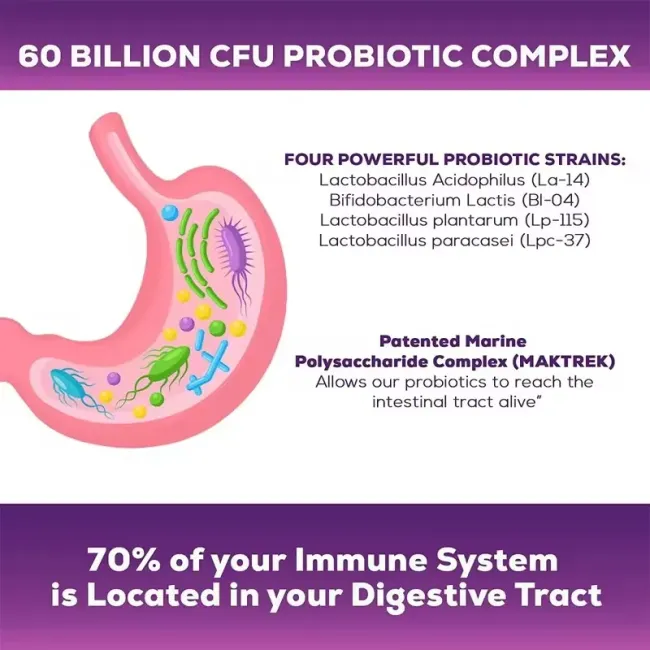 Close-up view of probiotic capsules