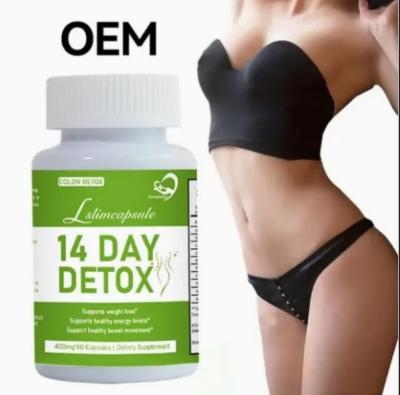 China Natural Slimming Capsules Appetite Suppressant Herbal Supplement 14 Day Flat Belly Pills for Intestinal Fat Loss for sale