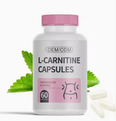 China Slimming Capsules Fat Burner Pills Weight Losser L-Carnitine Capsules Supplement Natural L-Carnitine Capsule
 for sale