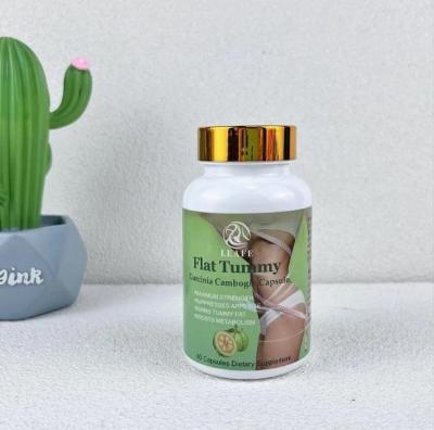 China OEM Best Slim Pills for Fast Result Appetite Suppressant Metabolism Booster slimming capsule for sale