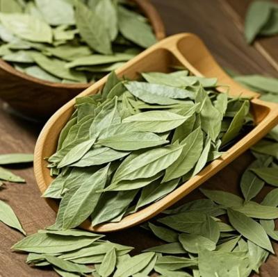 China Fast Weight Loss Tea Products Fat Burner Slimming Moringa Tea Burn Fat Tea for sale