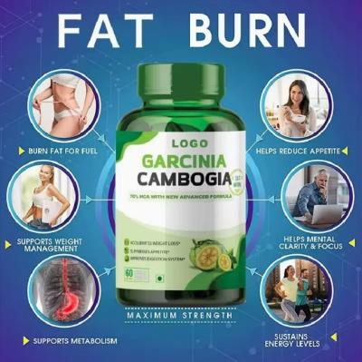 China OEM Slimming Light Fat-Burning Green Coffee Bean Extract Weight-Loss Capsule for sale
