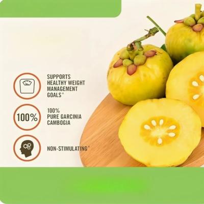 Cina Integratore erboristico OEM Vegan di estratto di Garcinia Cambogia per la perdita di peso in capsule, brucia grassi addominali in vendita