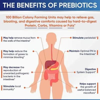 Cina Probiotici per la salute intestinale delle donne Supplementi di gomma per l'immunità e la salute intestinale in vendita