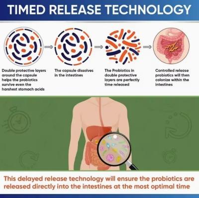 Cina Probiotici per la salute intestinale delle donne Supplementi di gomma per l'immunità e la salute intestinale in vendita