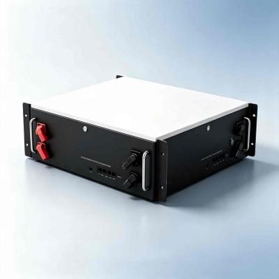 China 51.2V 100Ah 200Ah Rack Mounted LiFePO4 Solar Battery 5kWh 10kWh Energy Storage System - TIANON for sale
