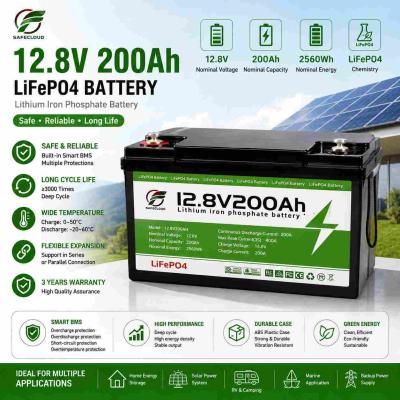 China 12.8V 200Ah LiFePO4 Battery Pack Lead Acid Replacement Smart BMS - Tianon for sale
