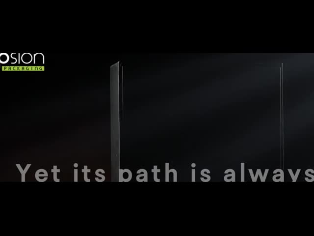 More than Manufacturer - The Topsion Journey