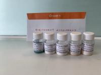 China Zinc Glycine Chelate for sale