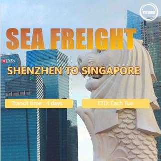 China International Sea Freight from Shenzhen to Singapore Port to Port for sale