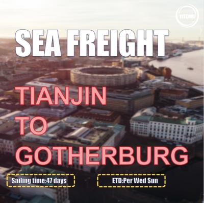 China 47 Dagen Internationale Overzeese Vracht China aan Europa Gothenburg Zweden Te koop