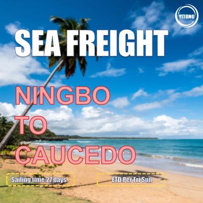 China 27 Days Sea Freight Shipping Agency From Ningbo To Caucedo Dominican Republic for sale
