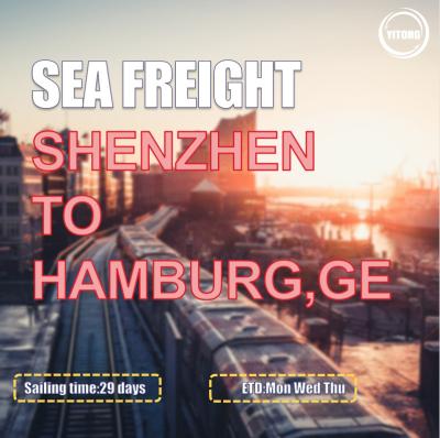 China EMC YML Liner International Sea Freight Logistics  From Shenzhen To Hamburg Germany for sale