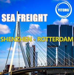 China Shenzhen China To Rotterdam Netherlands Sea Freight Logistics FOB DDU Trade Term for sale