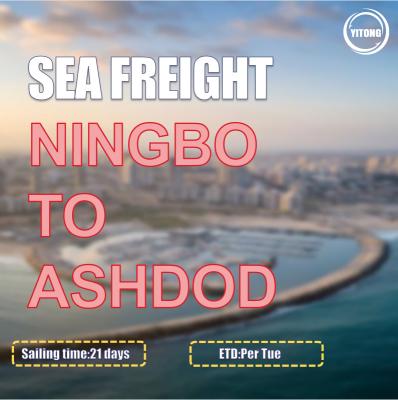 China COSCO Liner Export  Ocean Cargo Logistics From Ningbo To Ashdod Israel Direct Sailing for sale