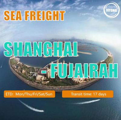 Китай Морской груз из Шанхая в Фуайрайру продается
