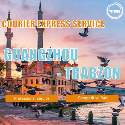 China Freight Forwarder/Shipping Agent/Sea Freight Shipping/Air Shipping/Express From China to Egypt / Turkey for sale