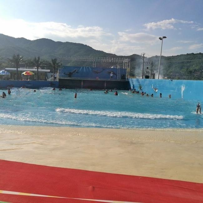 High Quality Man-Made Swimming Pool Water Park Wave Machine in China