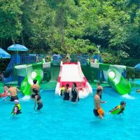 Quality International Standard Artistic Amusement Park Water Slide For Swimming Pool for sale