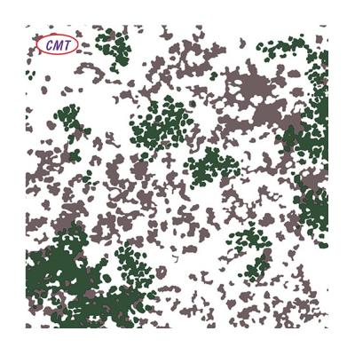 China Oxford Geweven Digitaal Direct Jet Printing Camouflage 100% Nylon Stof voor Kleding Parachute Tent Te koop