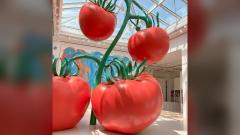 Large Tomato Fiberglass Resin Sculpture for Indoor Shopping Mall Decoration