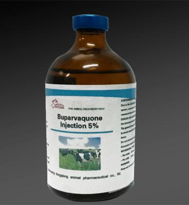 China Liquid Injection Buparvaquone Injection 5% Item NO.:LI016 for sale