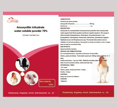 China Premix and Water Soluble Powder Amoxycillin trihydrate water soluble powder 70% Item NO.:WSP007 for sale