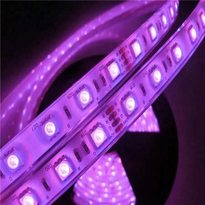 Cina 17W/M 5050 piscina impermeabile principale di wattaggio 12v 24V IP68 ha condotto le lampade fluorescenti in vendita