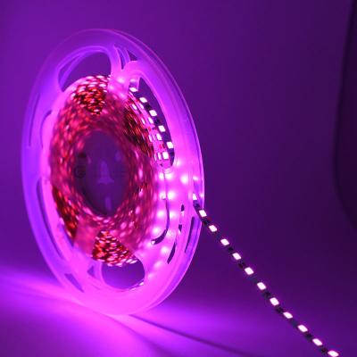 Cina Verde blu rosso bianco principale luminoso della striscia 12v 2700k della striscia di Dc12v 5v 120led 2835 LED alto in vendita