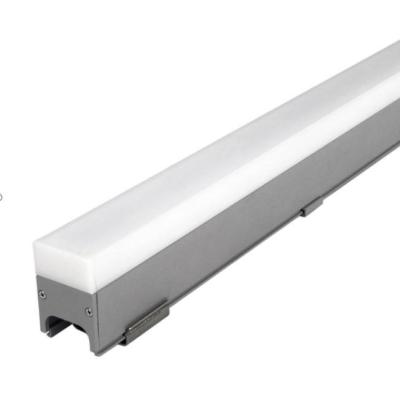 Cina 12V 75lm/W LED DMX che accende lampada lineare per illuminazione decorativa di festa all'aperto in vendita