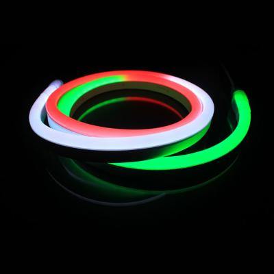 China 12V Digital LED RGB Color Changing Neon Flex Light SMD5050 Dynamic Pixel Moving Light for sale